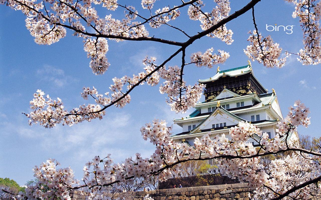 Japan Spring Wallpapers - Top Free Japan Spring Backgrounds ...