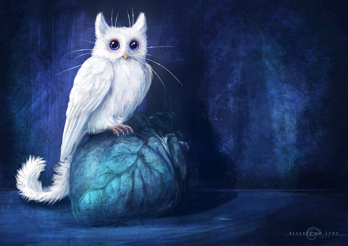 Meowl Wallpapers - Top Free Meowl Backgrounds - WallpaperAccess