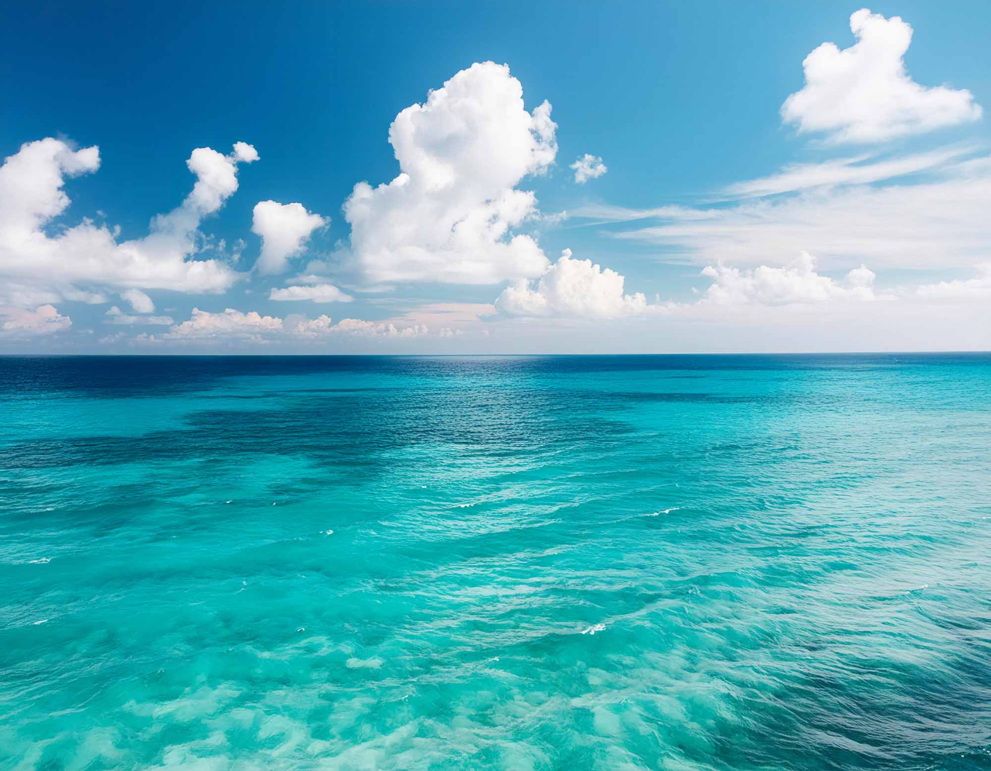 Endless Ocean Wallpapers - Top Free Endless Ocean Backgrounds ...