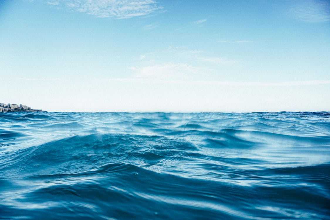 Endless Ocean Wallpapers - Top Free Endless Ocean Backgrounds ...