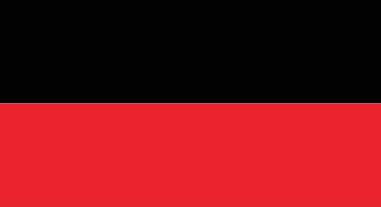 DMK Flag Wallpapers - Top Free DMK Flag Backgrounds - WallpaperAccess