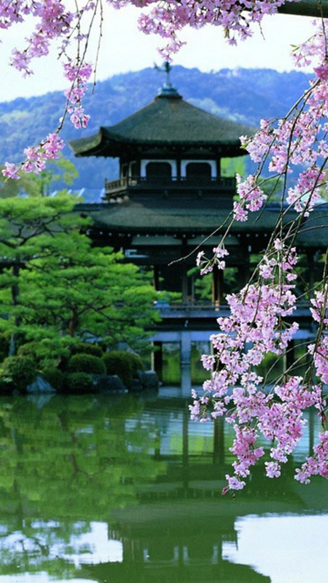 Asian Phone Wallpapers - Top Free Asian Phone Backgrounds - WallpaperAccess