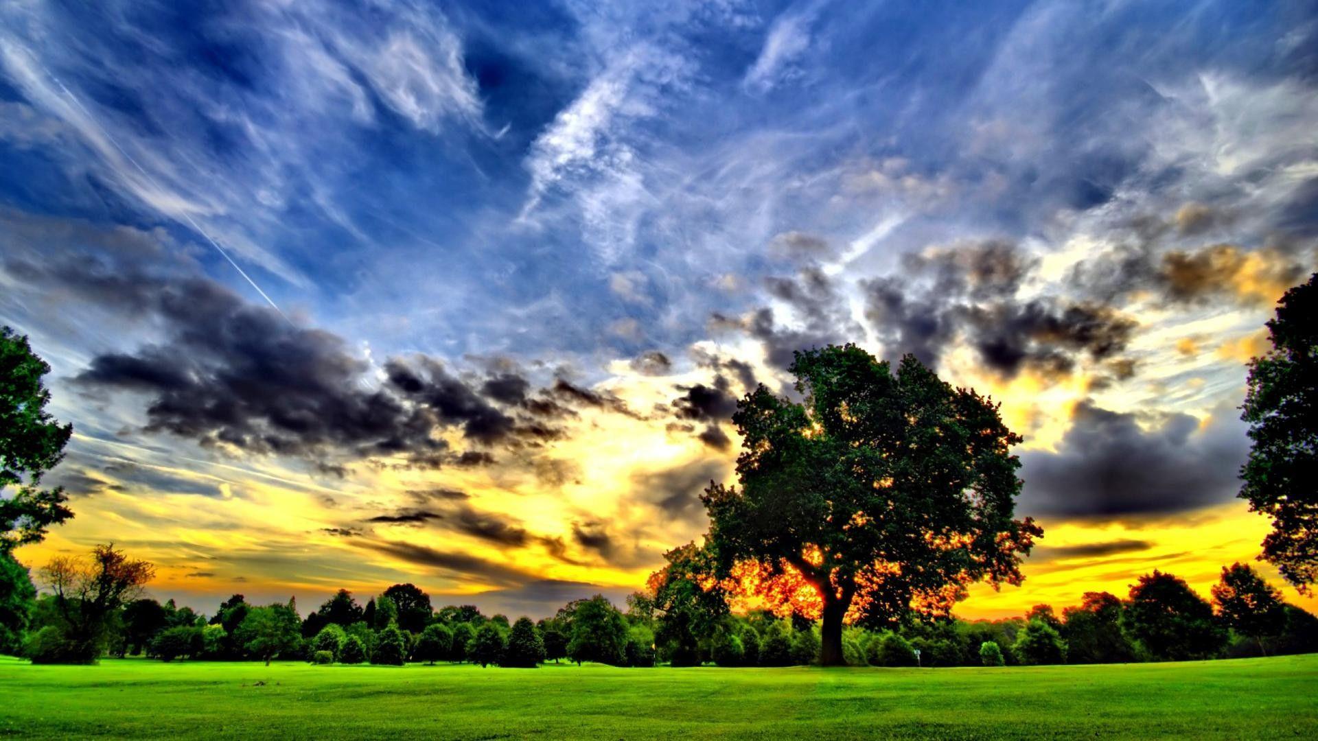 Nature PC Wallpapers - Top Free Nature PC Backgrounds - WallpaperAccess