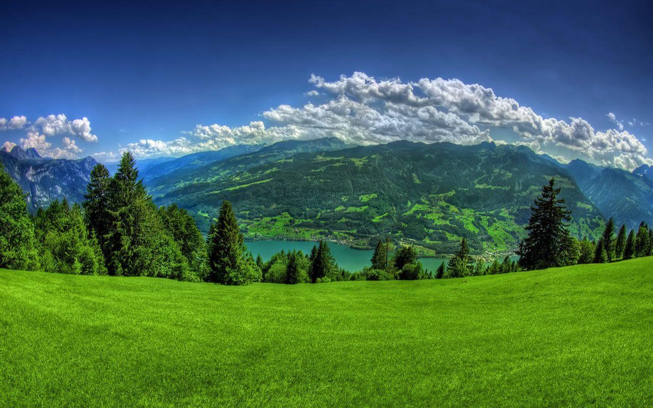 Hillside Wallpapers - Top Free Hillside Backgrounds - WallpaperAccess