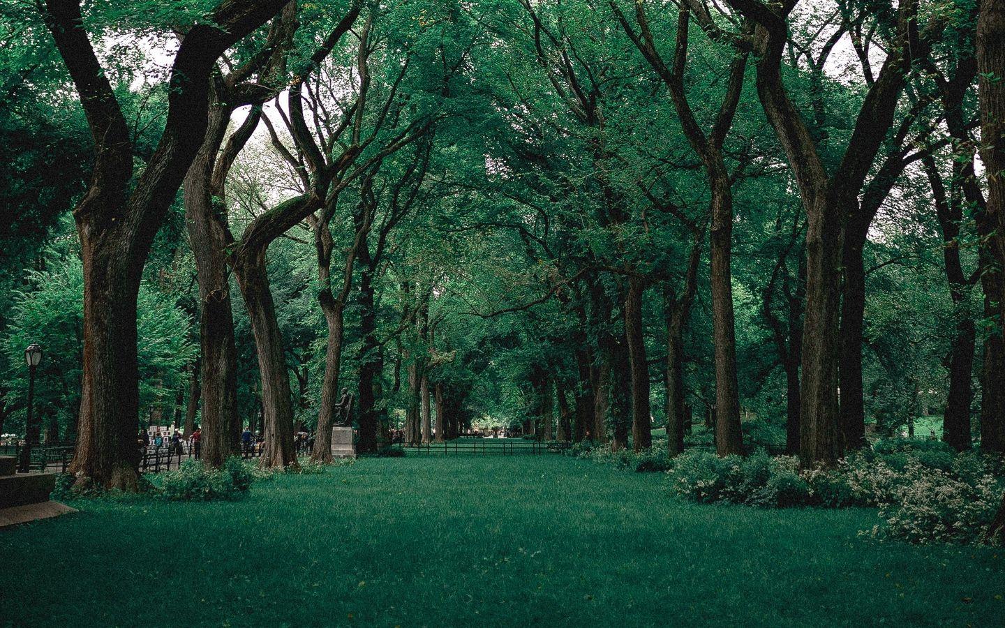 1440X900 Nature Wallpapers - Top Free 1440X900 Nature Backgrounds ...