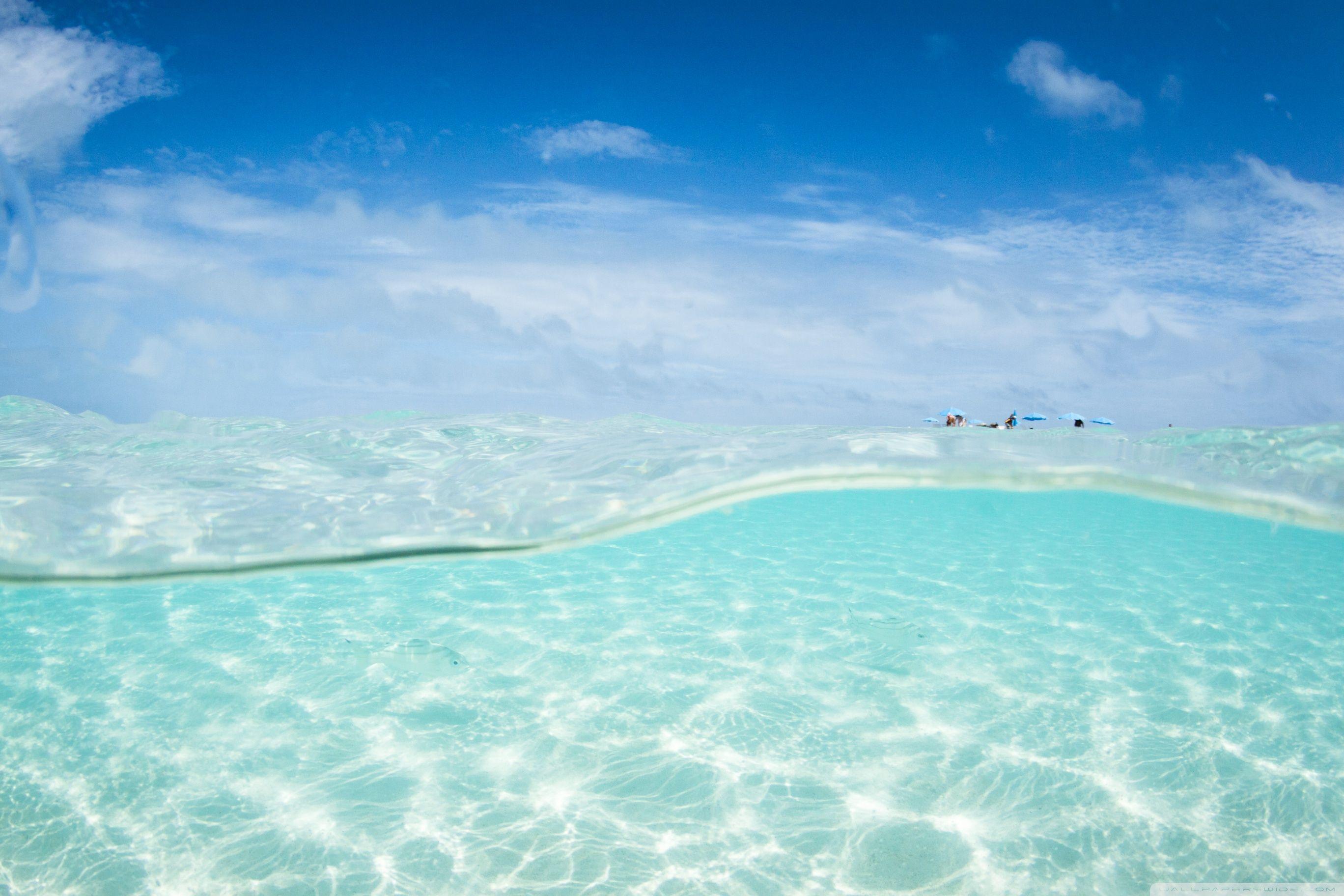 2736X1824 Ocean Wallpapers - Top Free 2736X1824 Ocean Backgrounds ...