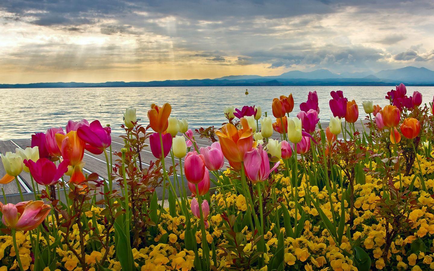 Italy Spring Wallpapers - Top Free Italy Spring Backgrounds ...