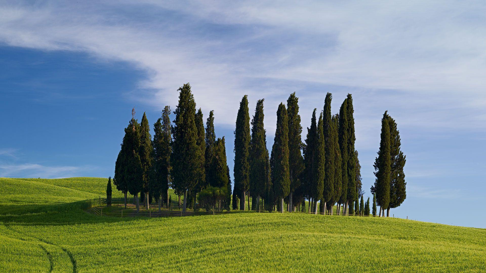 Italy Spring Wallpapers - Top Free Italy Spring Backgrounds ...