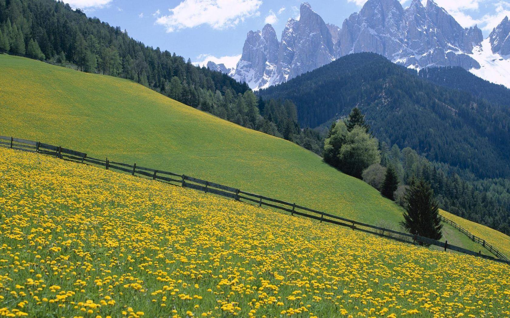 Italy Spring Wallpapers - Top Free Italy Spring Backgrounds ...