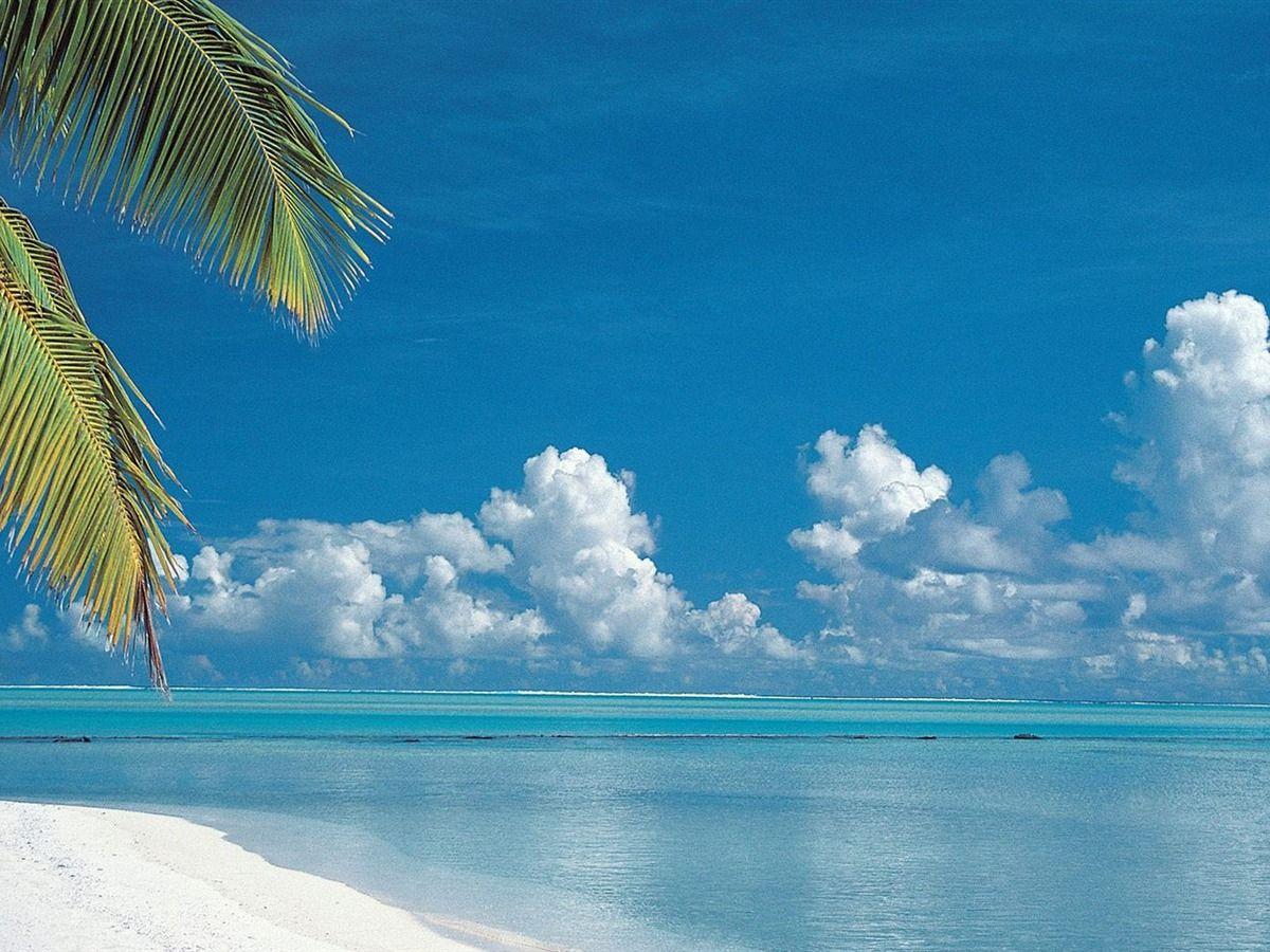 1200X900 HD Wallpapers - Top Free 1200X900 HD Backgrounds - WallpaperAccess