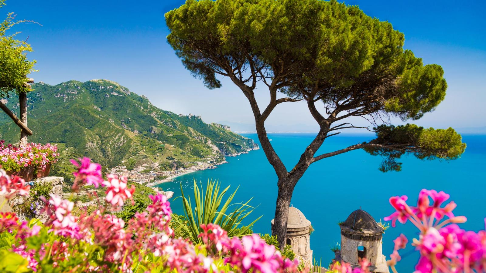 Italy Flowers Wallpapers - Top Free Italy Flowers Backgrounds ...