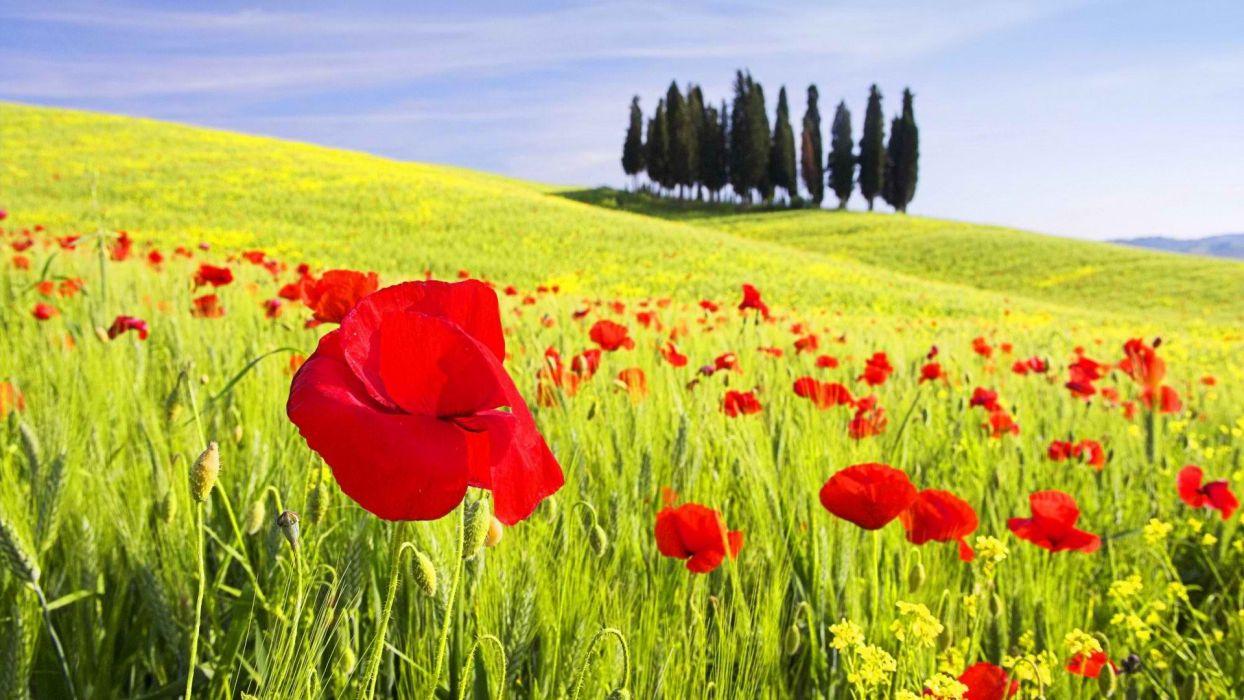 Italy Spring Wallpapers - Top Free Italy Spring Backgrounds ...