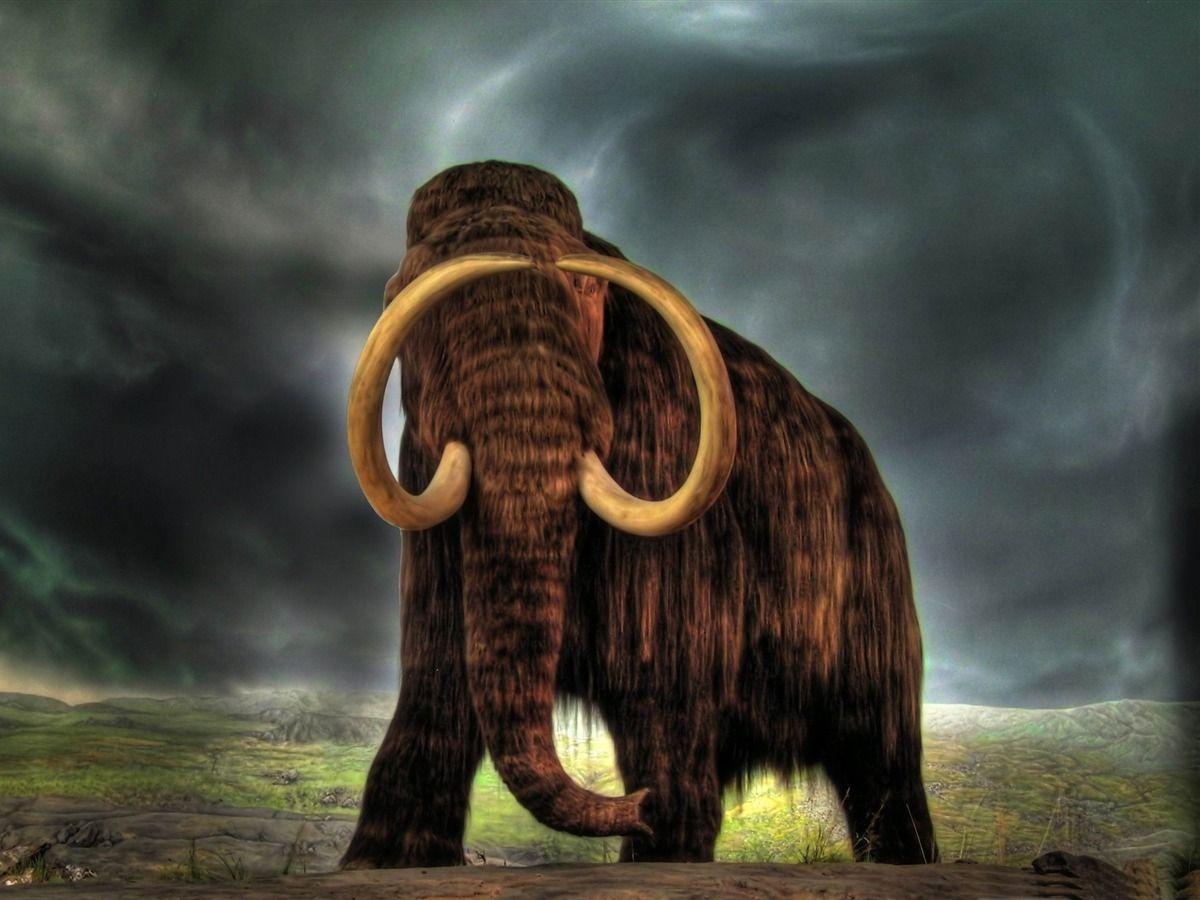 1200X900 HD Wallpapers - Top Free 1200X900 HD Backgrounds - WallpaperAccess