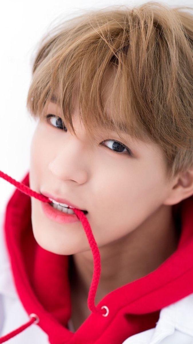 Jeno Wallpapers - Top Free Jeno Backgrounds - WallpaperAccess