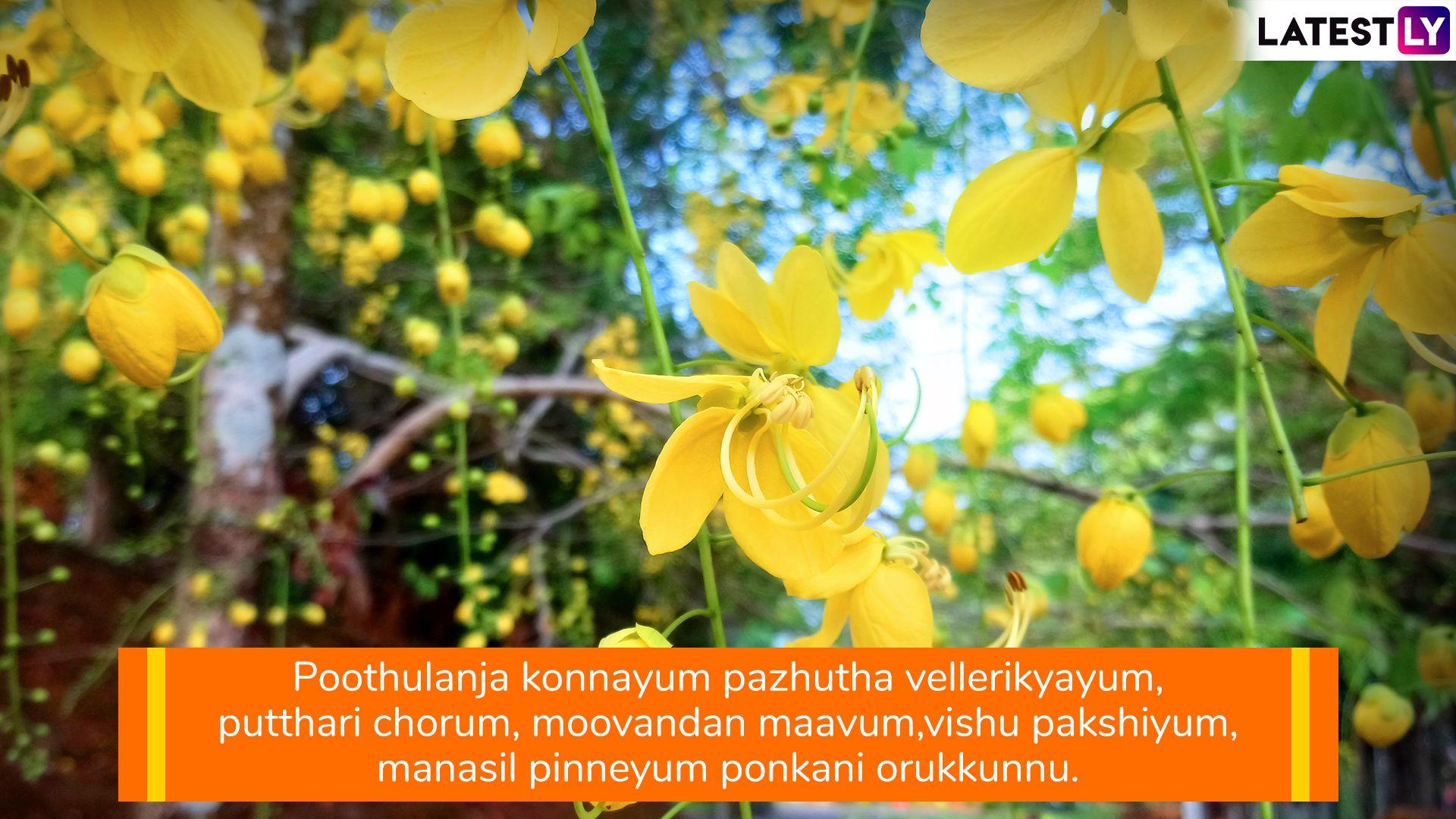 Vishu Wallpapers - Top Free Vishu Backgrounds - WallpaperAccess