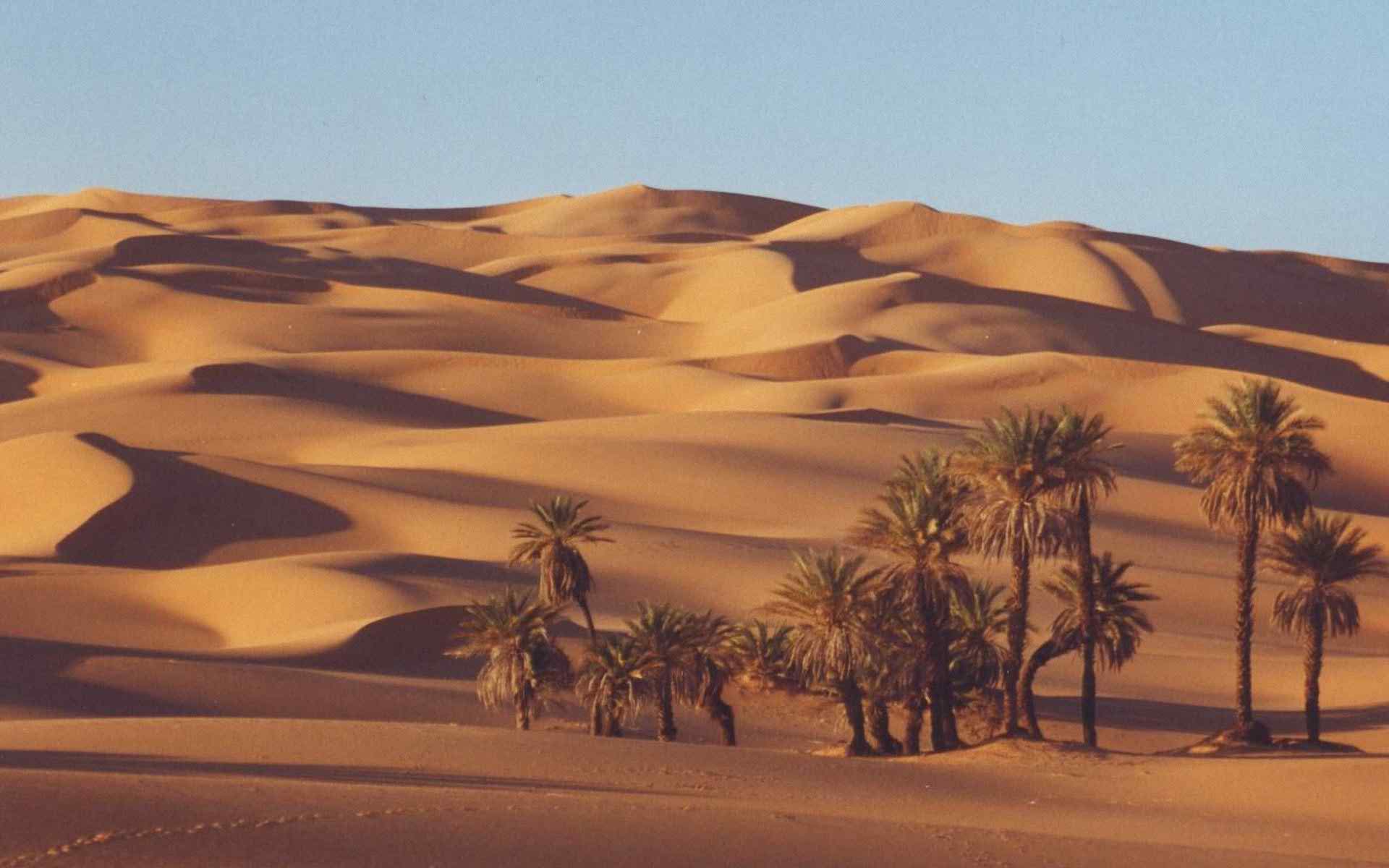 Sahara Wallpapers - Top Free Sahara Backgrounds - WallpaperAccess
