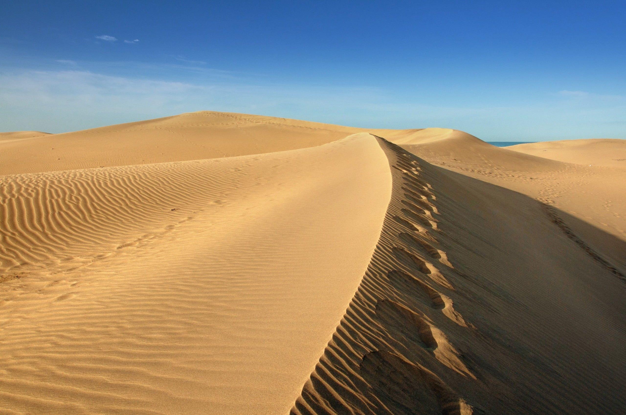 Sahara Wallpapers - Top Free Sahara Backgrounds - WallpaperAccess