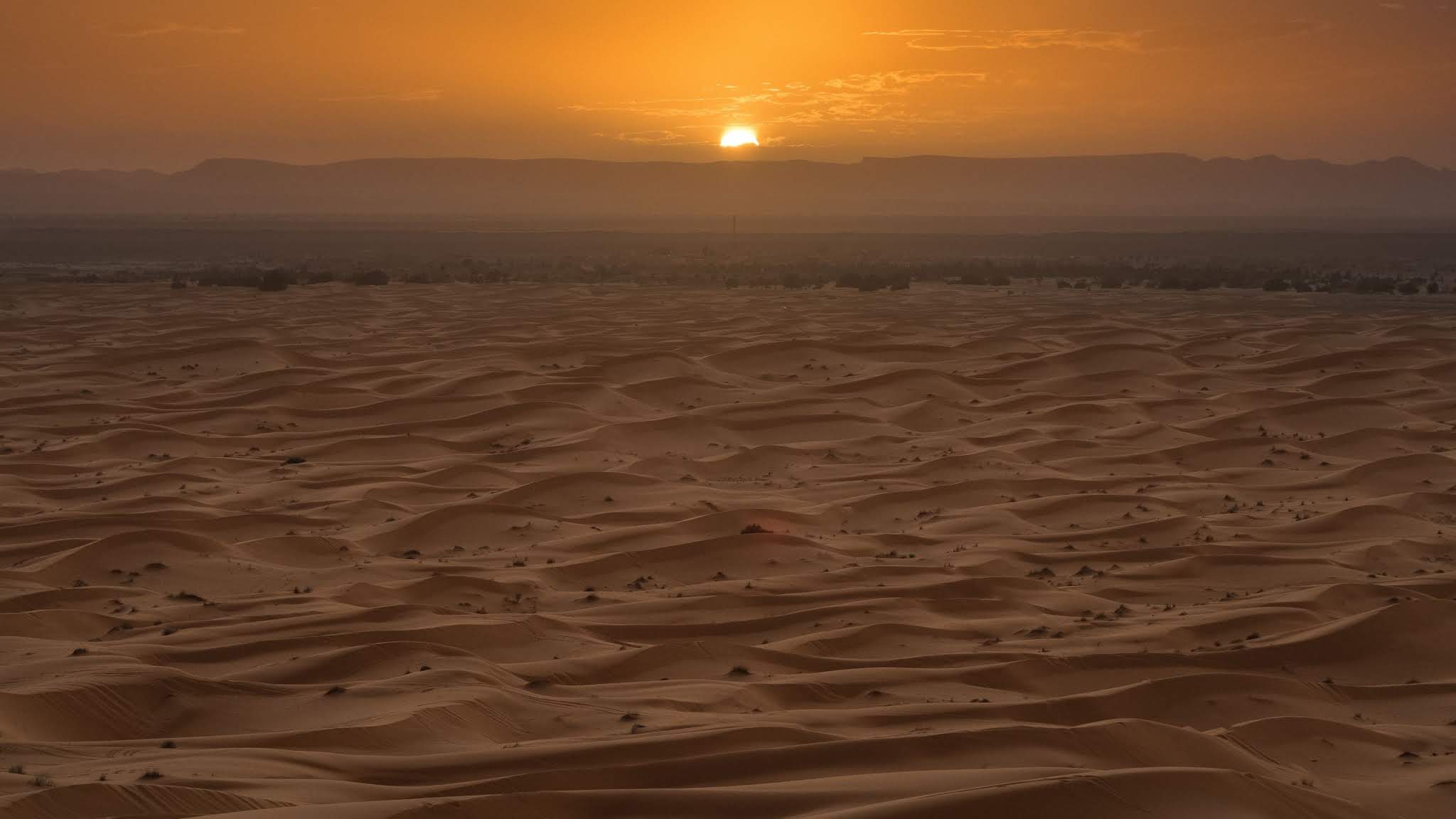 Sahara Wallpapers - Top Free Sahara Backgrounds - WallpaperAccess