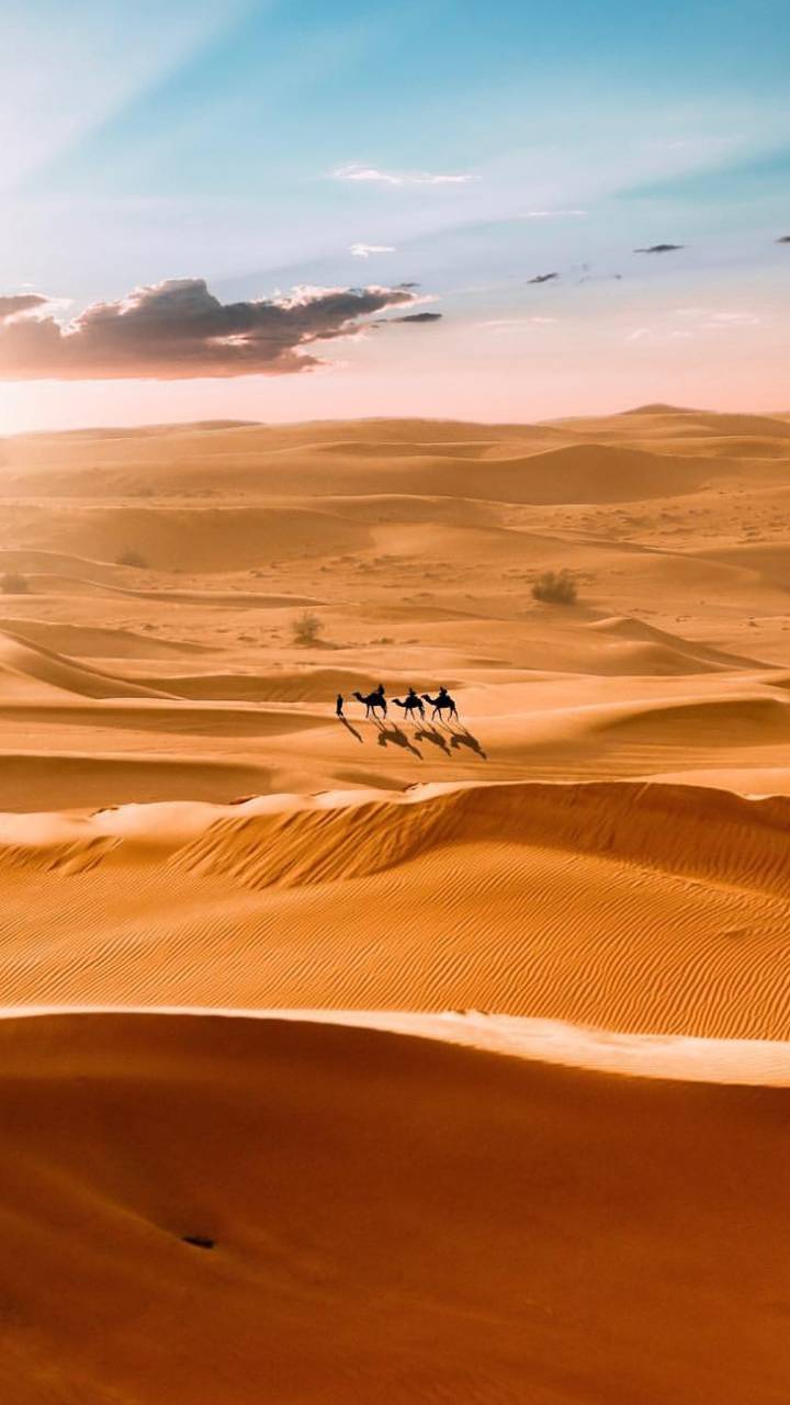 Sahara Wallpapers - Top Free Sahara Backgrounds - WallpaperAccess