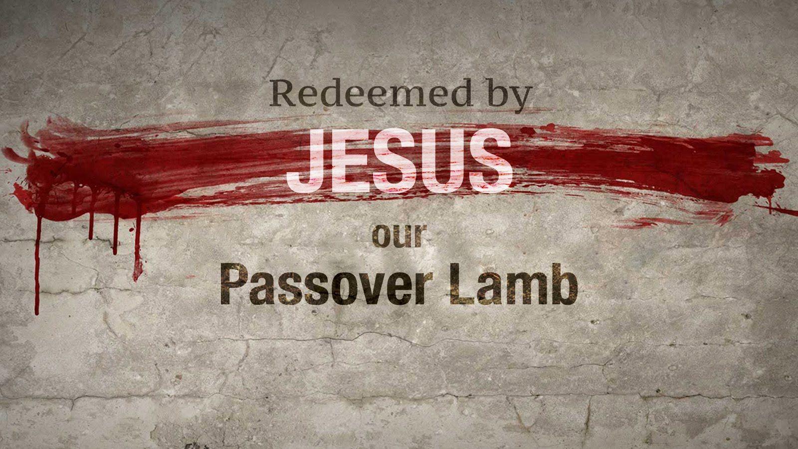 Passover Wallpapers - Top Free Passover Backgrounds - WallpaperAccess
