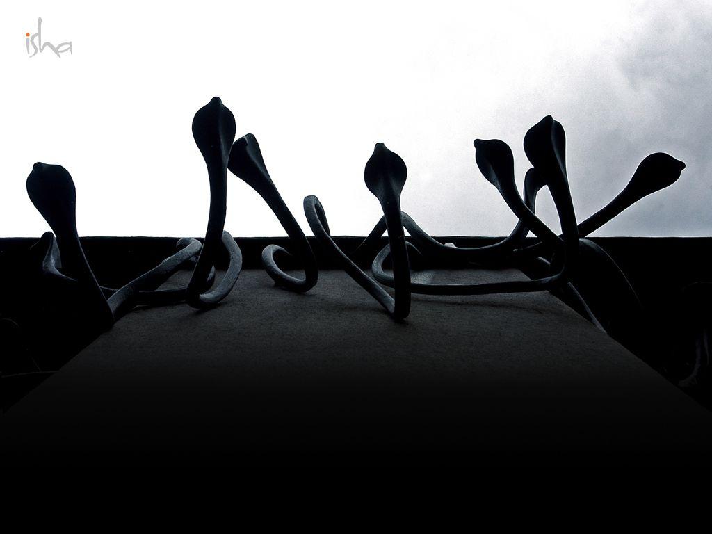 Isha Foundation Wallpapers - Top Free Isha Foundation Backgrounds ...