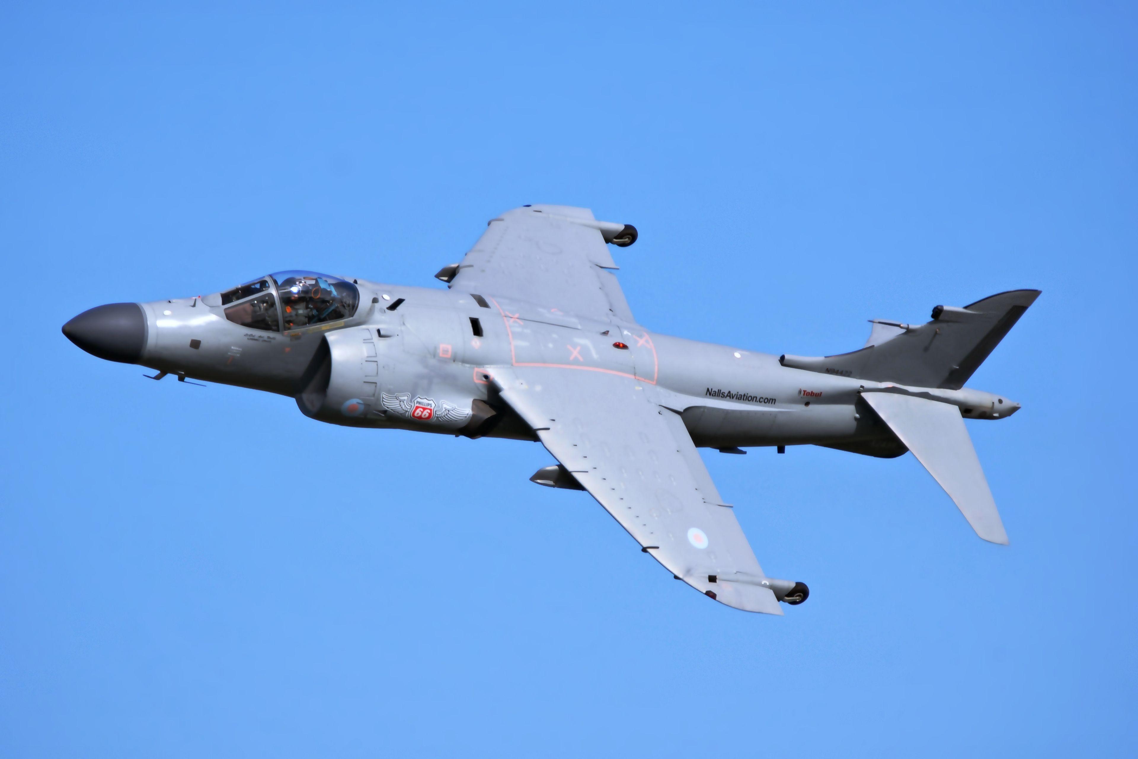 Harrier Wallpapers - Top Free Harrier Backgrounds - WallpaperAccess