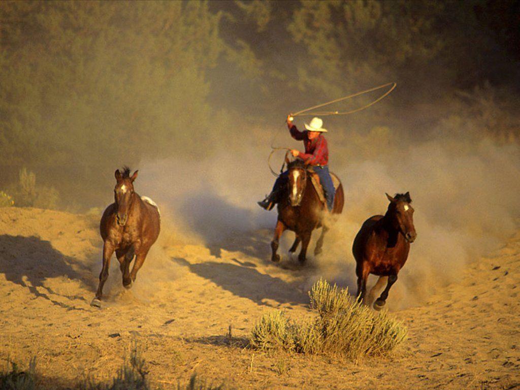 Western Cowboy Desktop Wallpapers - Top Free Western Cowboy Desktop ...