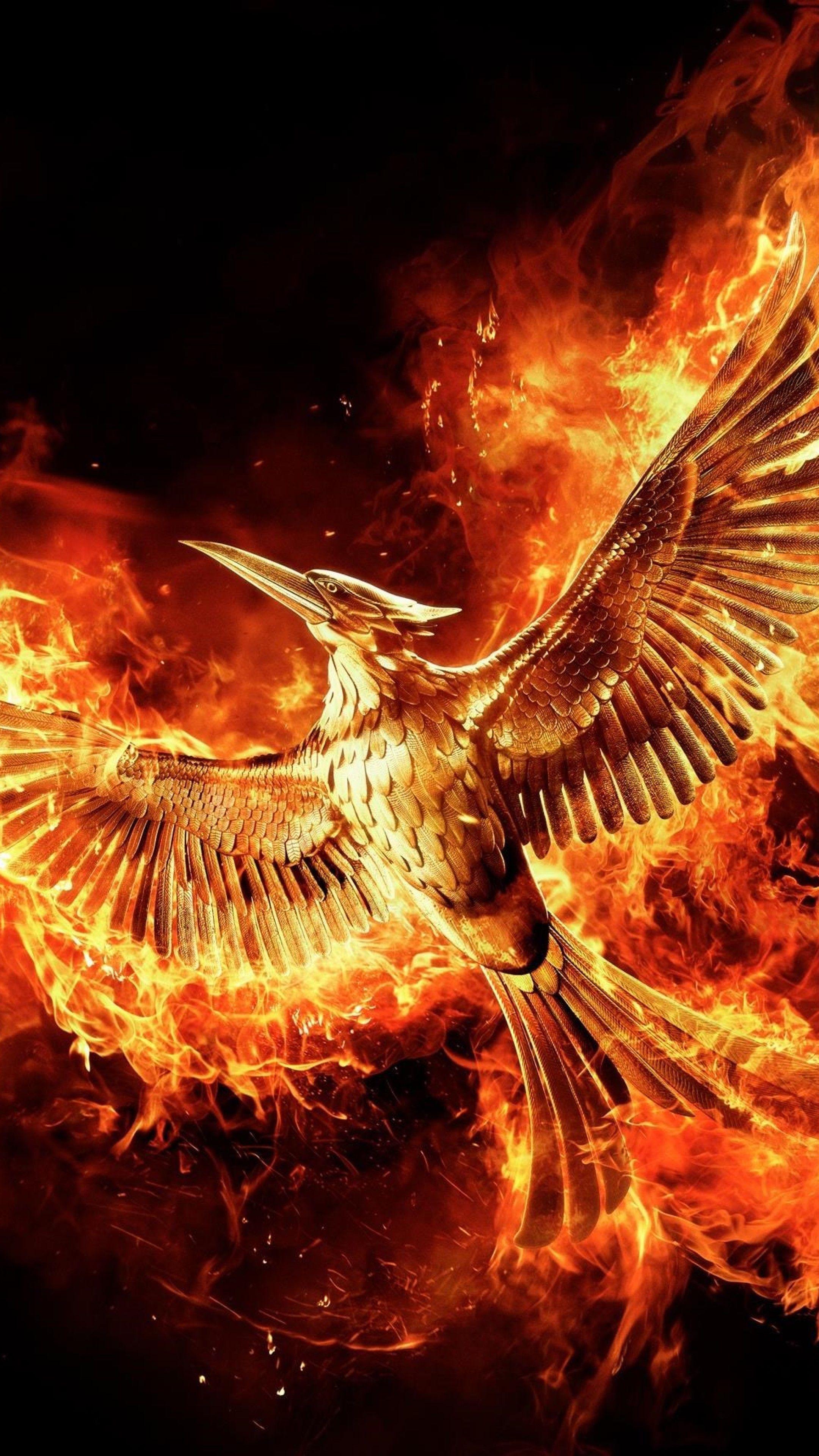 The Hunger Games Mockingjay Wallpapers - Top Free The Hunger Games ...