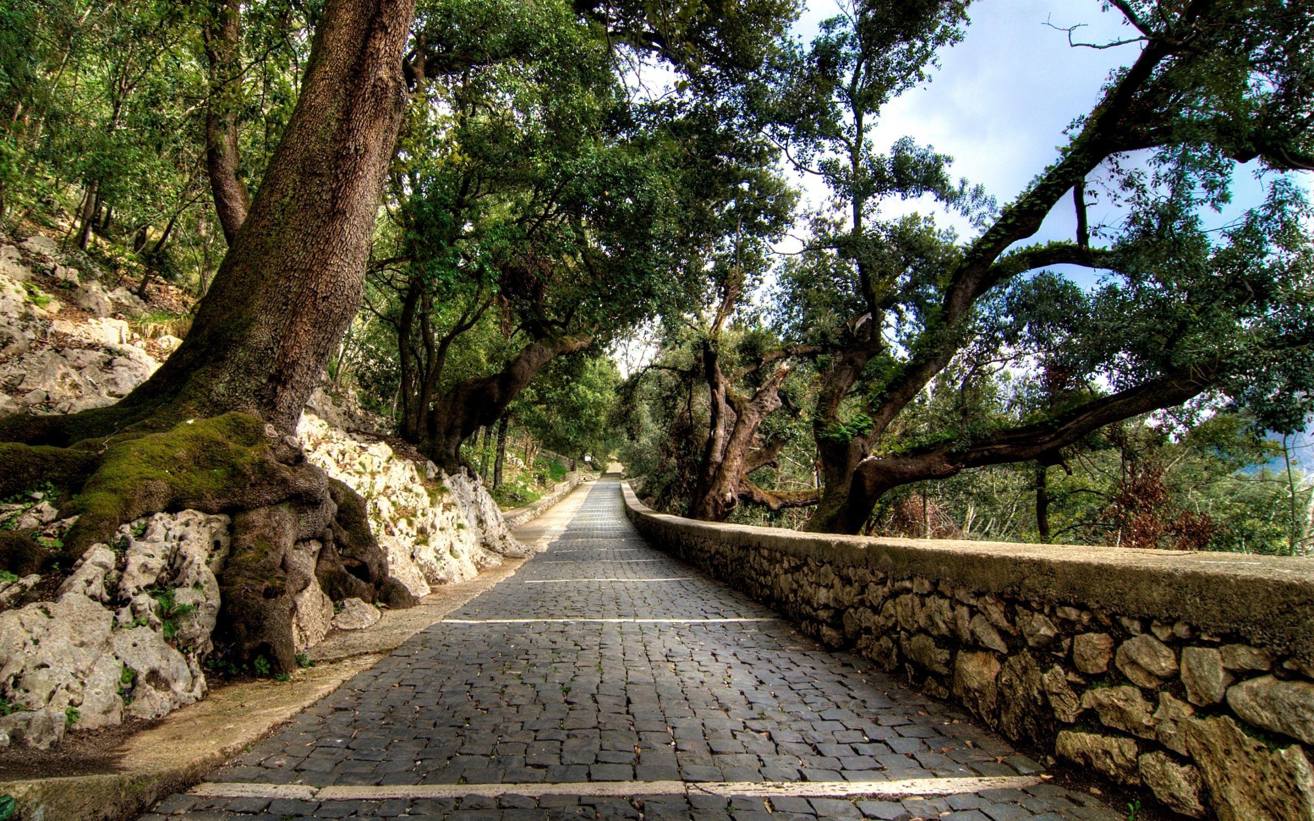 Cobblestone Wallpapers - Top Free Cobblestone Backgrounds - WallpaperAccess