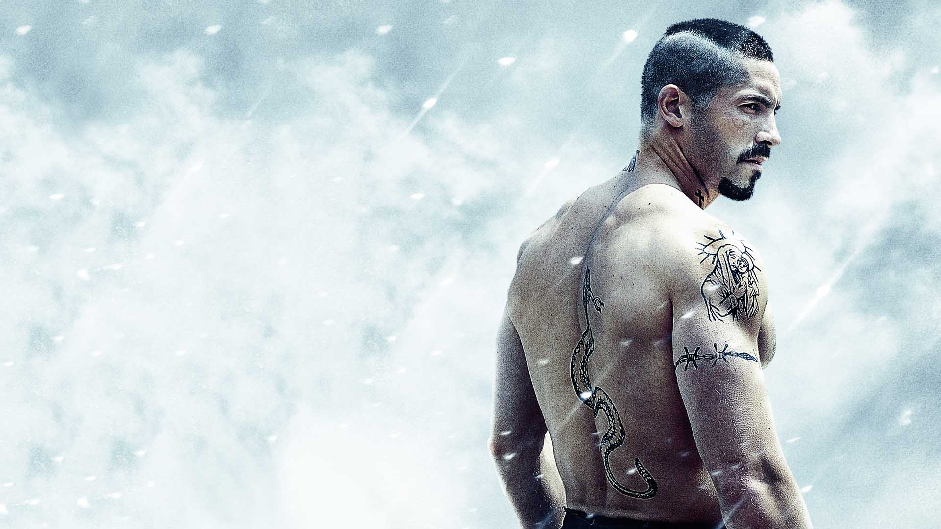 Undisputed Wallpapers - Top Free Undisputed Backgrounds - WallpaperAccess