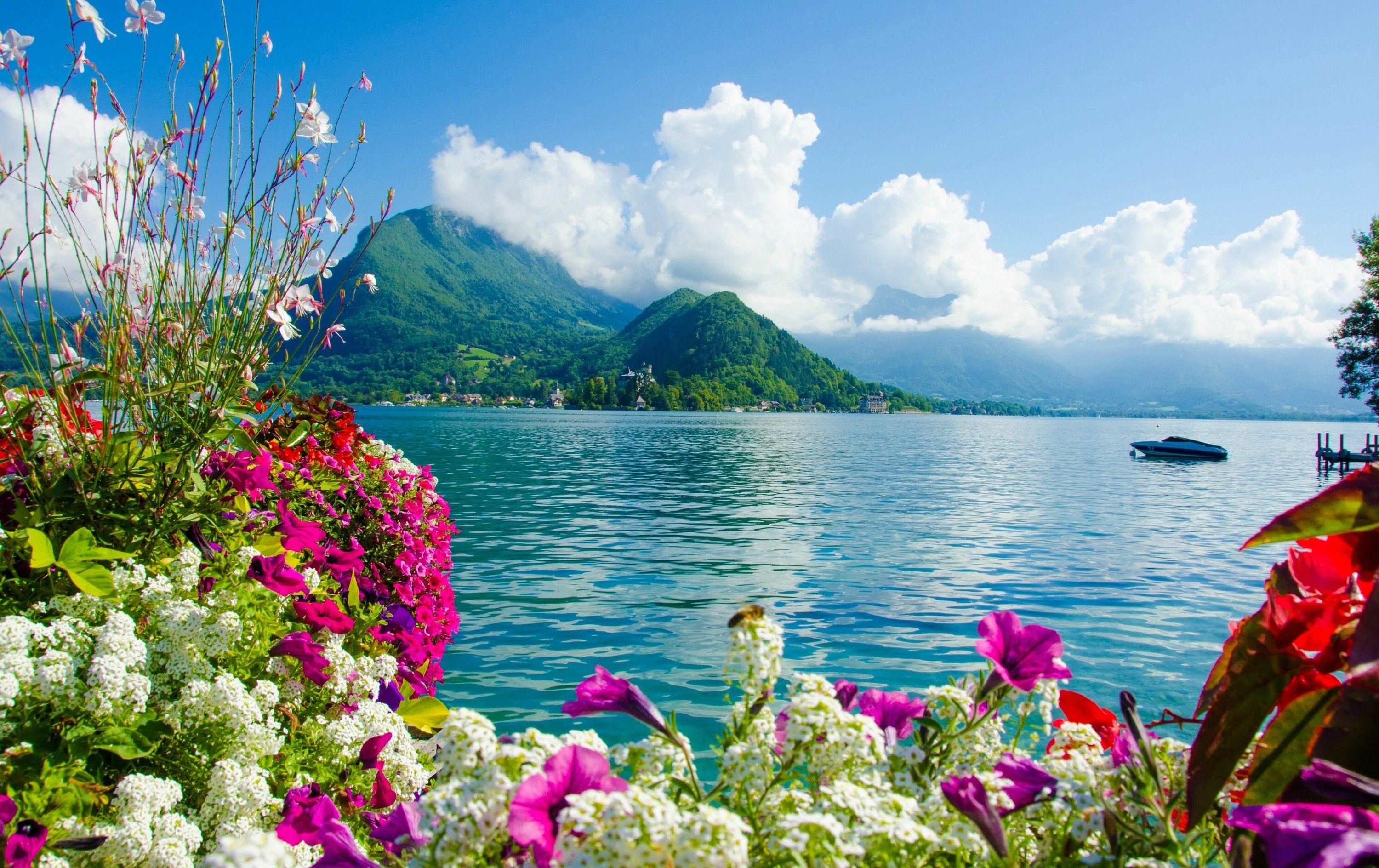 Fresh Nature Wallpapers - Top Free Fresh Nature Backgrounds ...
