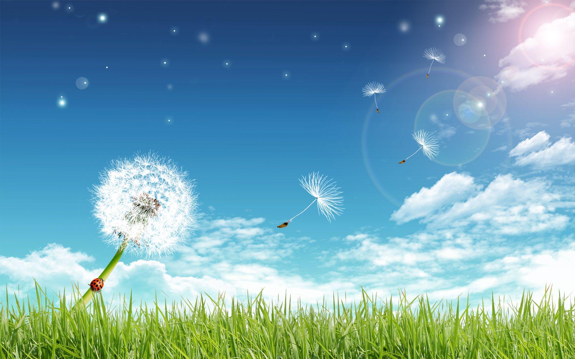 Fresh Nature Wallpapers - Top Free Fresh Nature Backgrounds ...