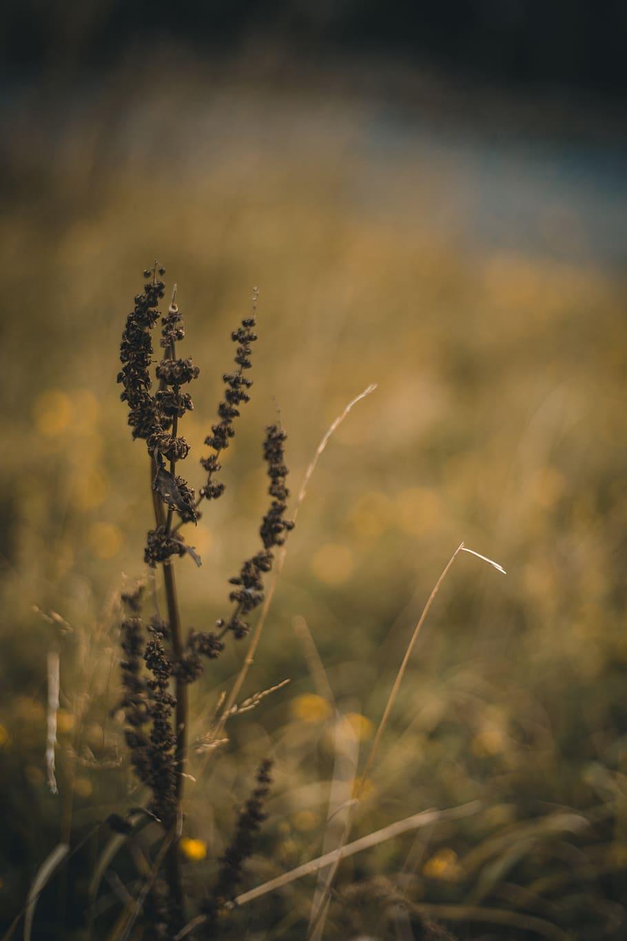 Warm Nature Wallpapers - Top Free Warm Nature Backgrounds - WallpaperAccess