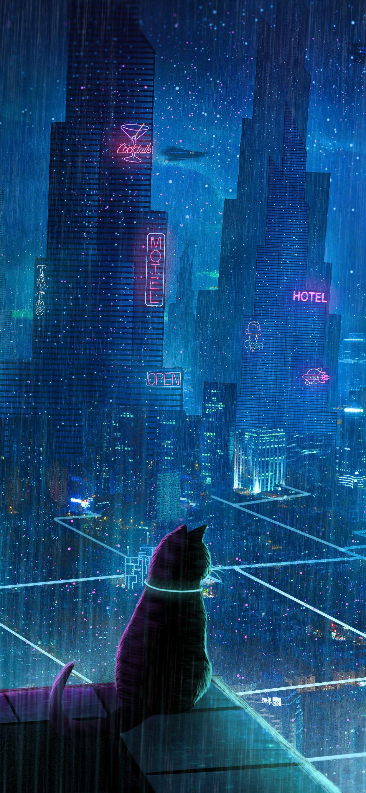 Cat Rain Wallpapers - Top Free Cat Rain Backgrounds - WallpaperAccess