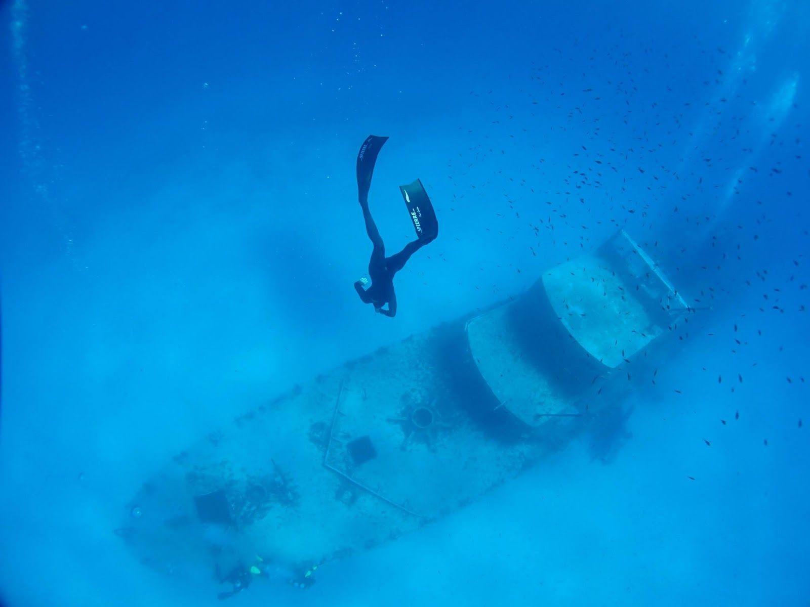 Freediving Wallpapers - Top Free Freediving Backgrounds - WallpaperAccess
