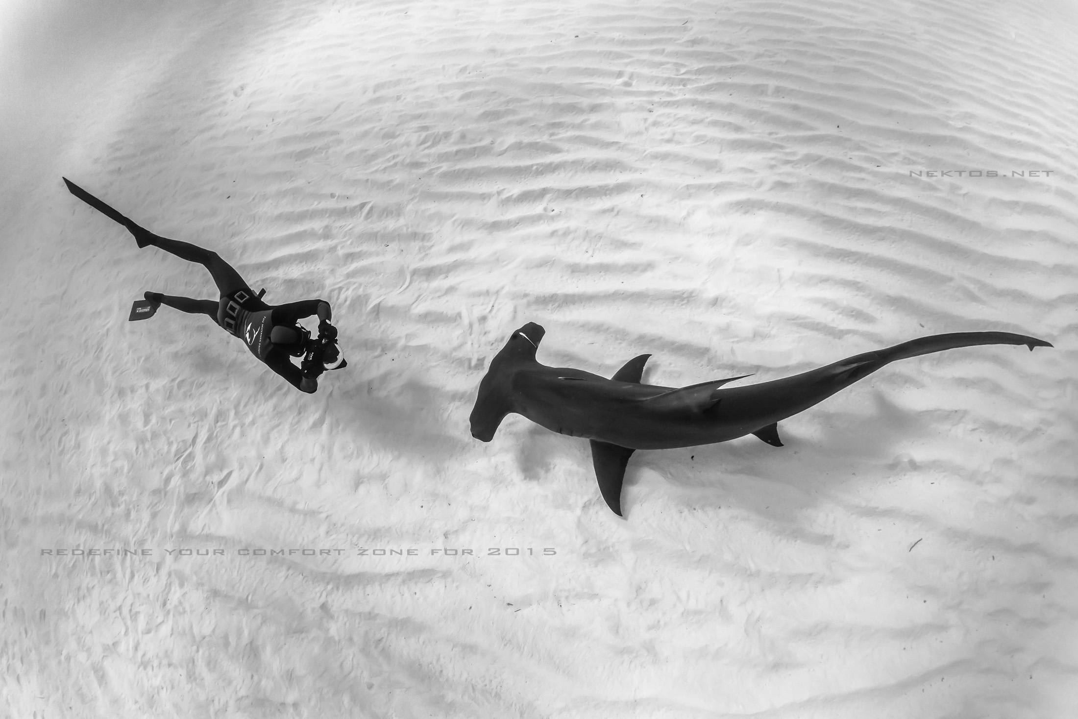 Freediving Wallpapers - Top Free Freediving Backgrounds - WallpaperAccess