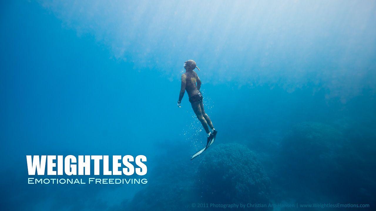 Freediving Wallpapers - Top Free Freediving Backgrounds - WallpaperAccess