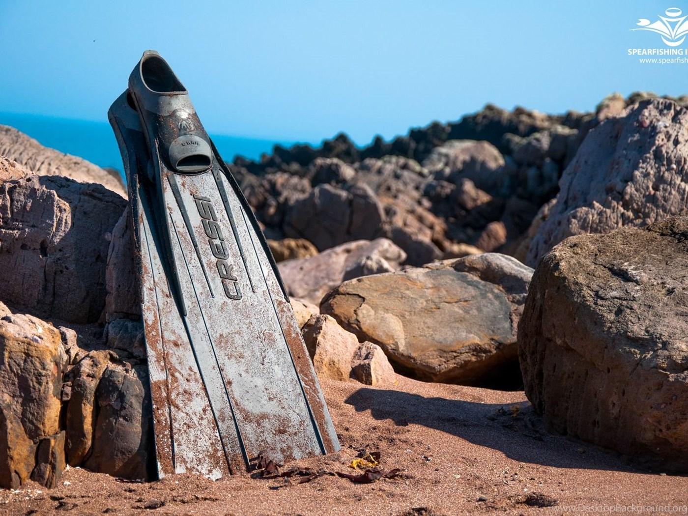 Freediving Wallpapers - Top Free Freediving Backgrounds - WallpaperAccess