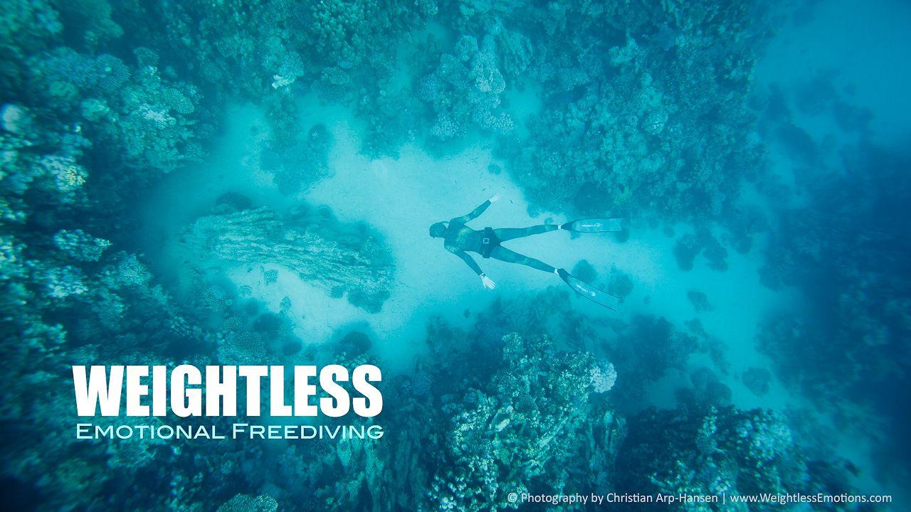 Freediving Wallpapers - Top Free Freediving Backgrounds - WallpaperAccess
