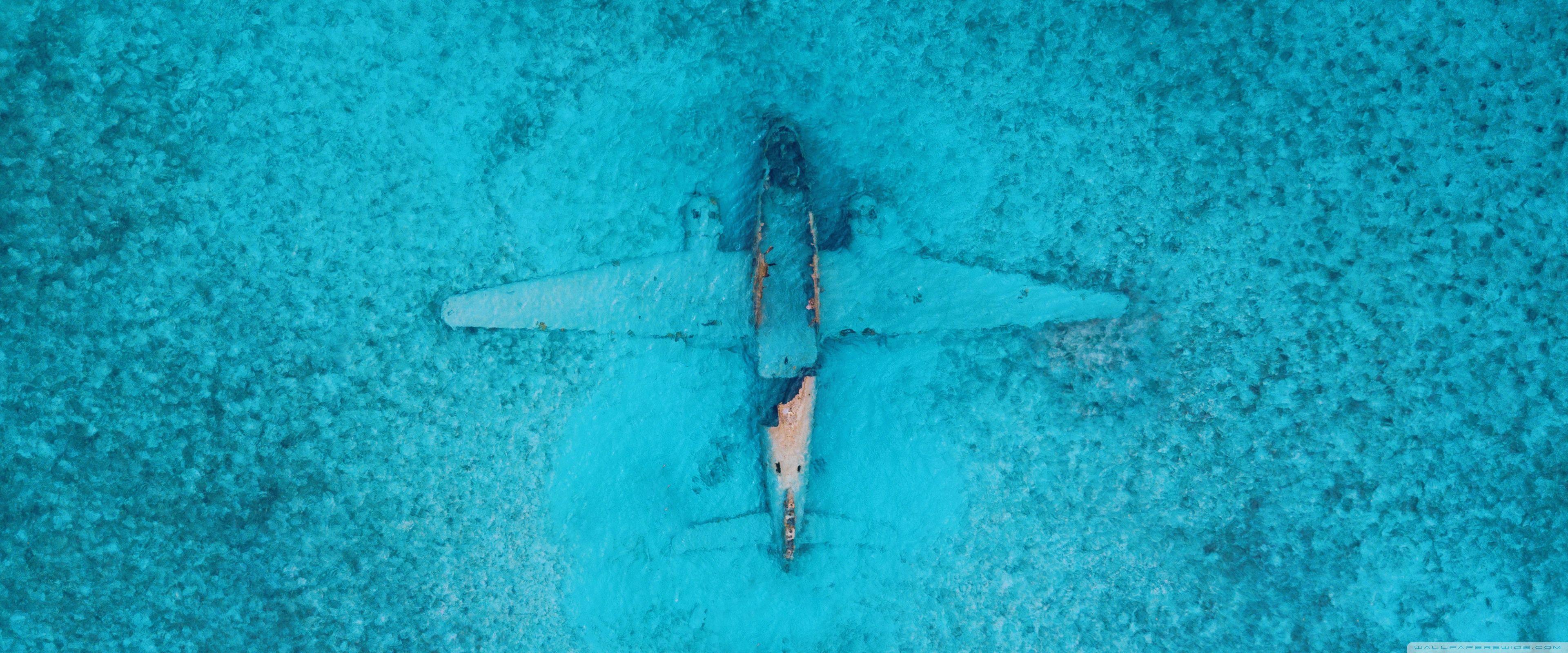 Freediving Wallpapers - Top Free Freediving Backgrounds - WallpaperAccess