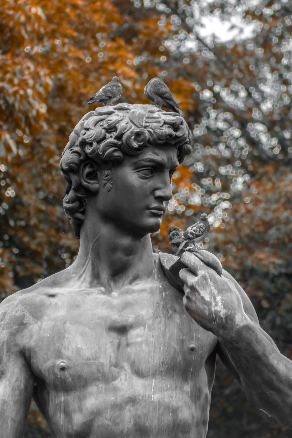 Statue of David Wallpapers - Top Free Statue of David Backgrounds ...