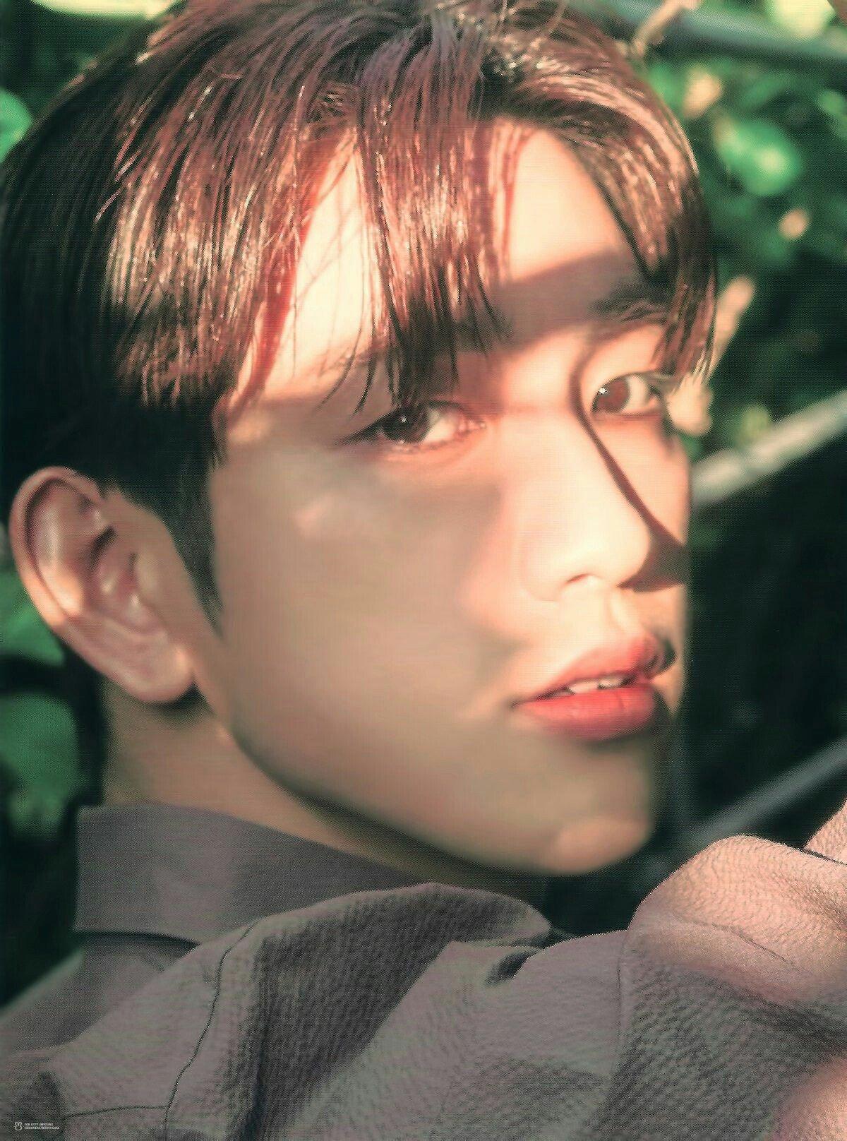 Got7 Jinyoung Wallpapers - Top Free Got7 Jinyoung Backgrounds - WallpaperAccess