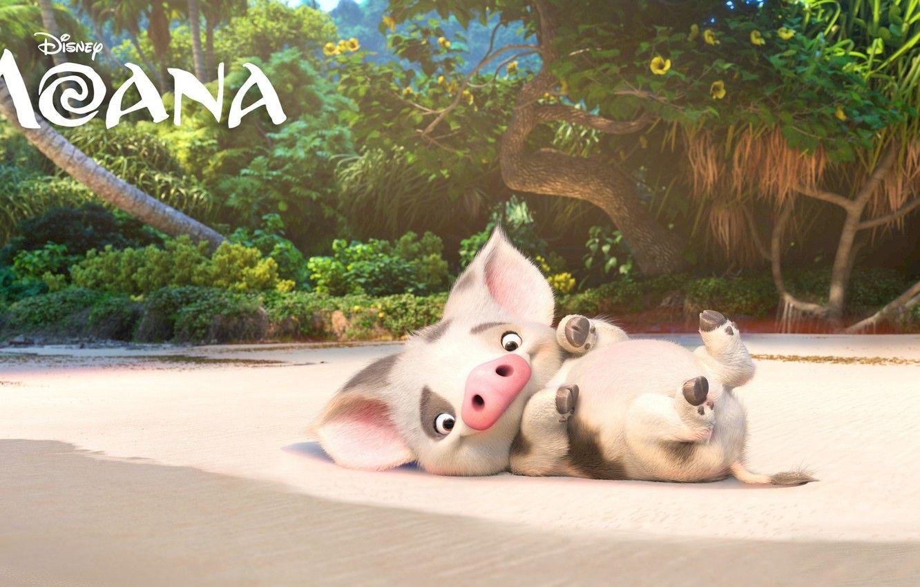 Cute Moana Wallpapers - Top Free Cute Moana Backgrounds - WallpaperAccess