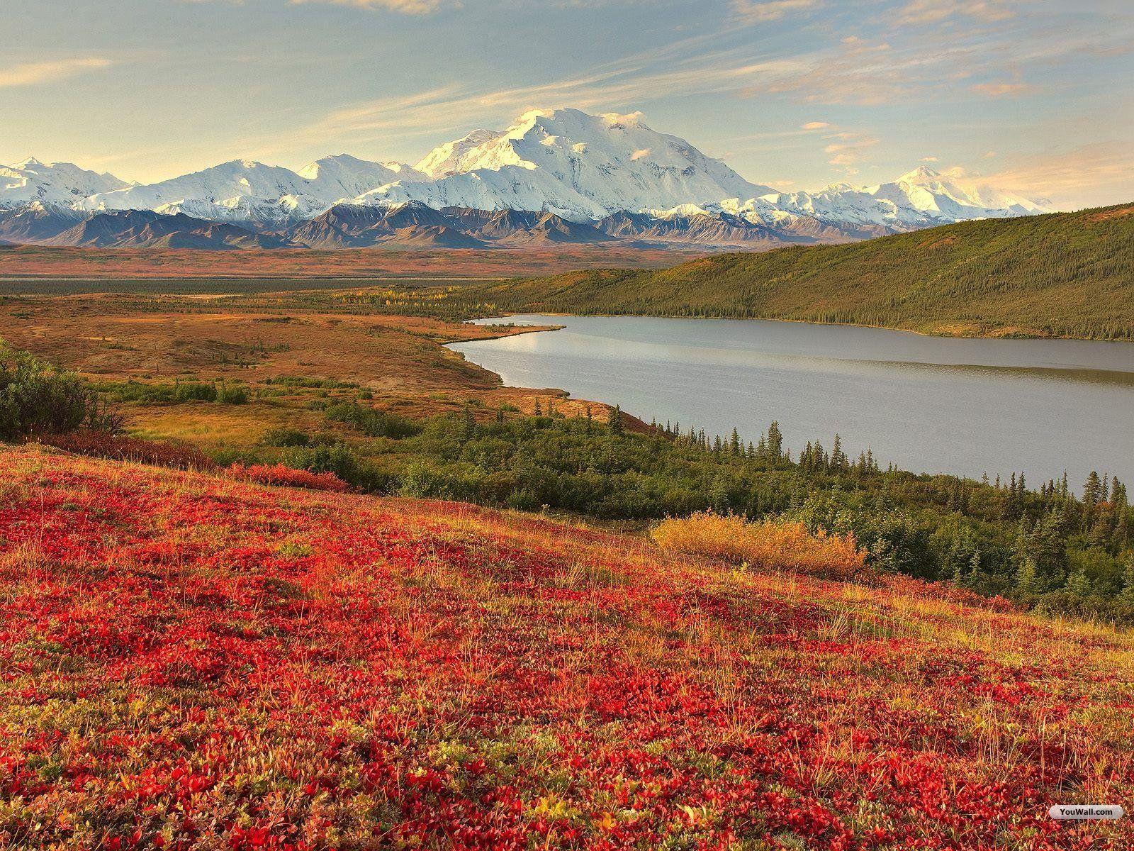 Alaska Landscape Wallpapers - Top Free Alaska Landscape Backgrounds ...