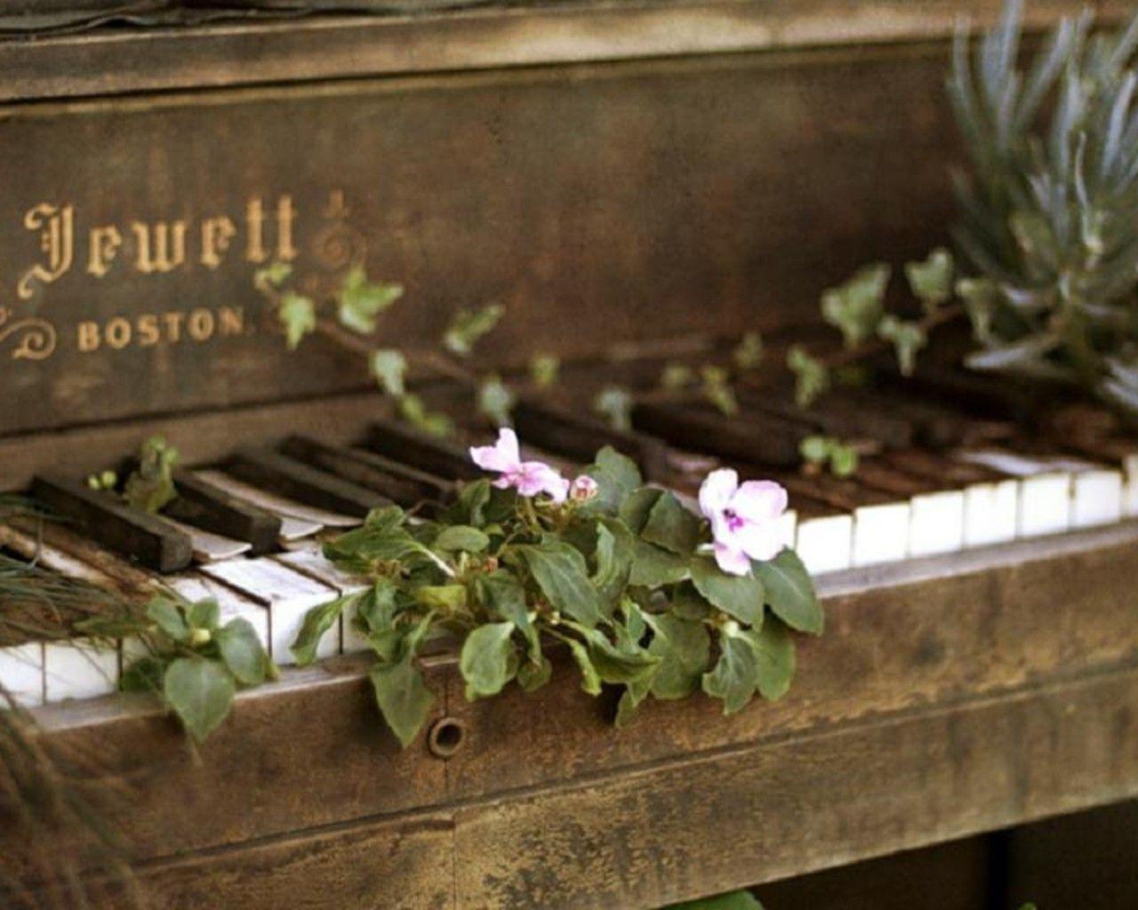 Piano and Flowers Wallpapers - Top Free Piano and Flowers Backgrounds ...