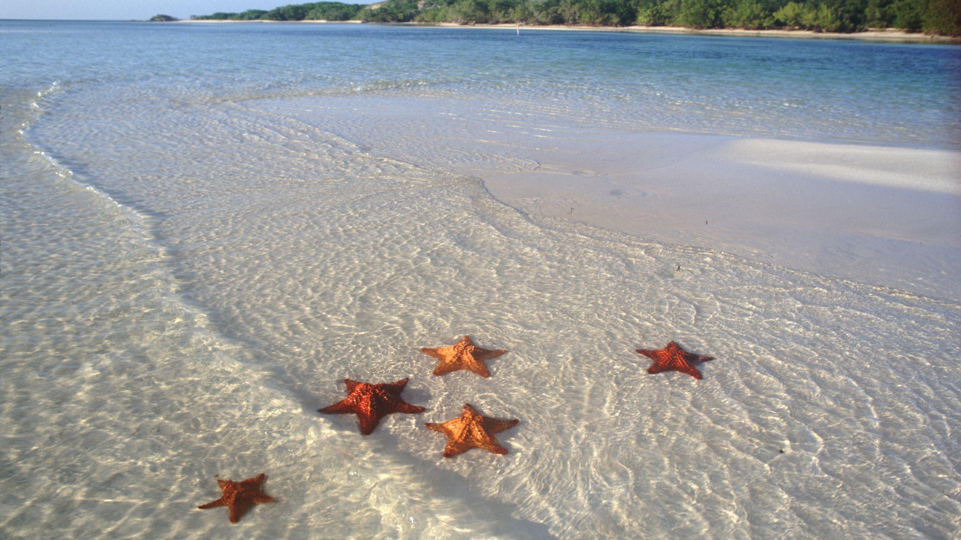 Cuba Beach Wallpapers - Top Free Cuba Beach Backgrounds - WallpaperAccess