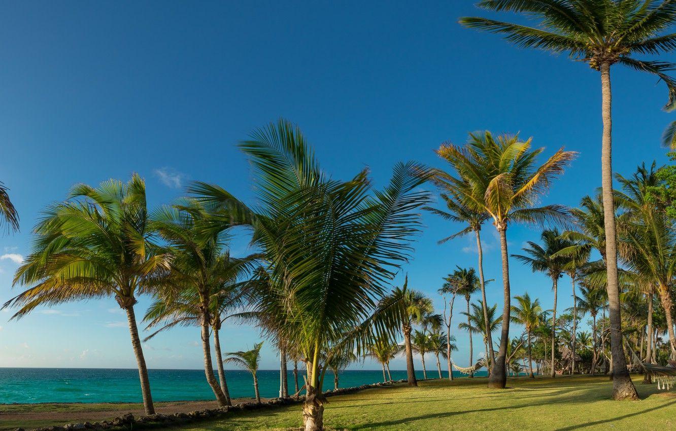 Cuba Beach Wallpapers - Top Free Cuba Beach Backgrounds - WallpaperAccess