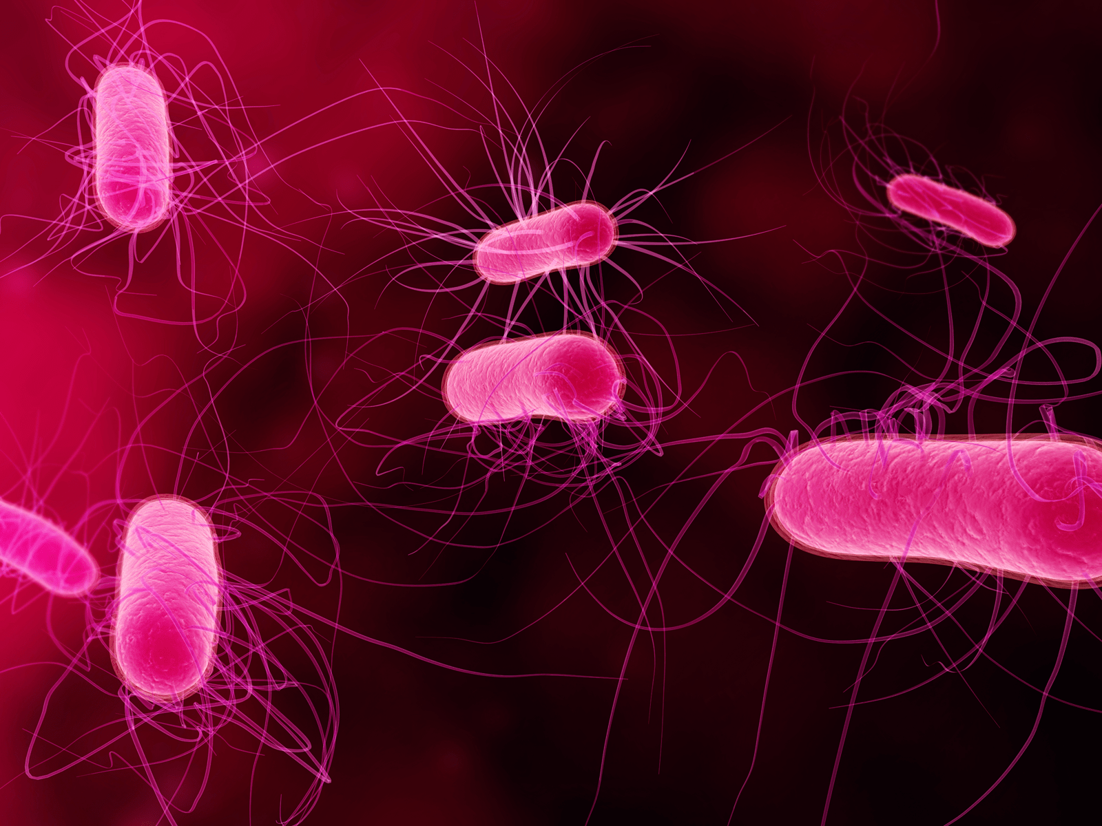 Bacteria Wallpapers - Top Free Bacteria Backgrounds - WallpaperAccess
