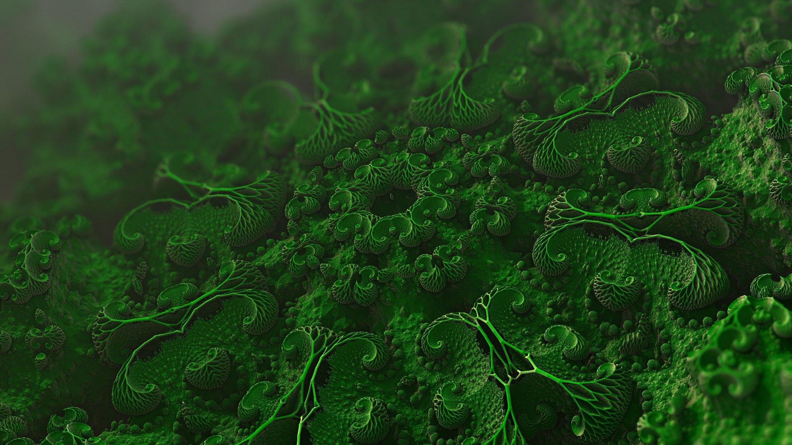 Microorganisms Wallpapers - Top Free Microorganisms Backgrounds ...