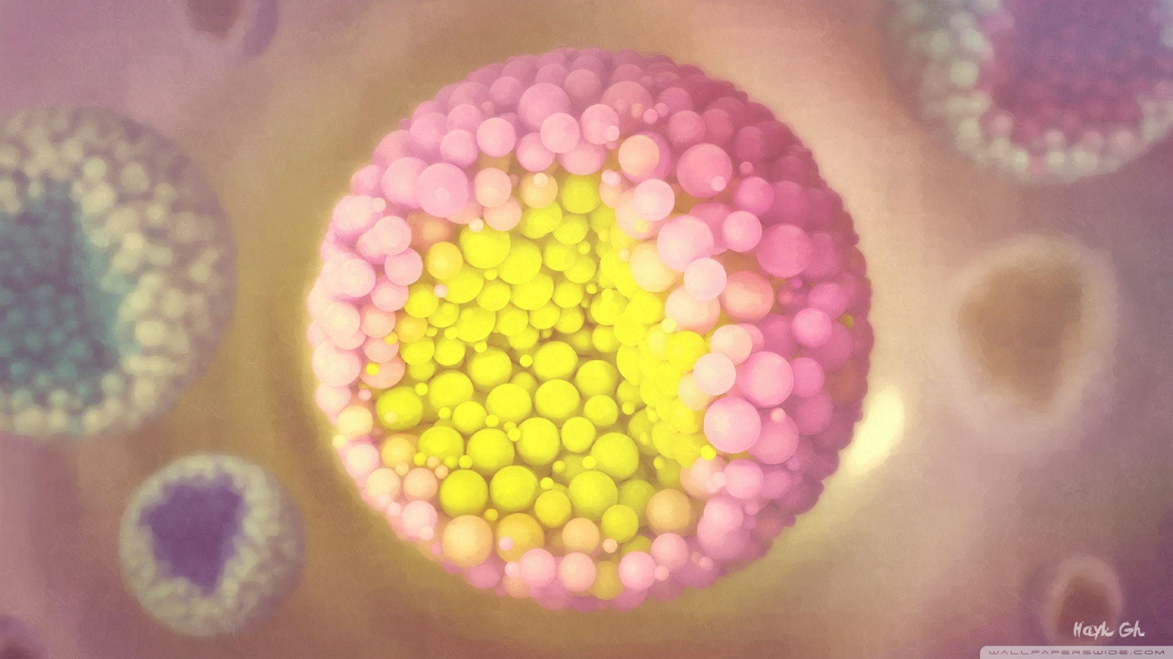 Microbiology HD Wallpapers - Top Free Microbiology HD Backgrounds ...